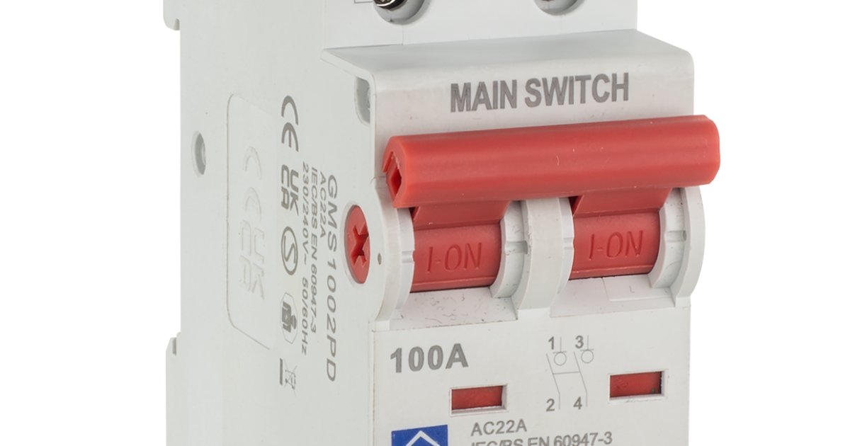 Main Switch 100A 2P dual screw terminals - Lewden